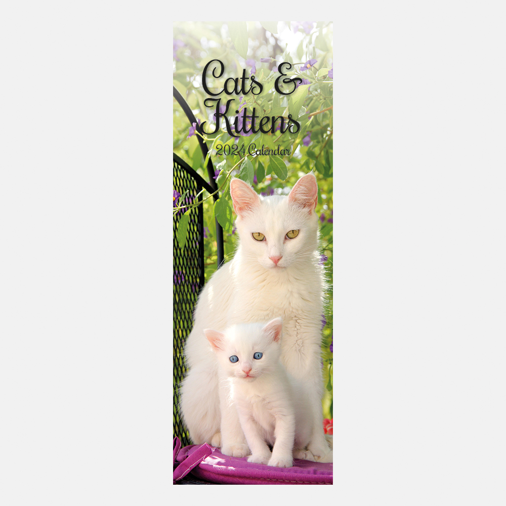 2024 Slim Calendars Archives - The Gifted Stationery Company