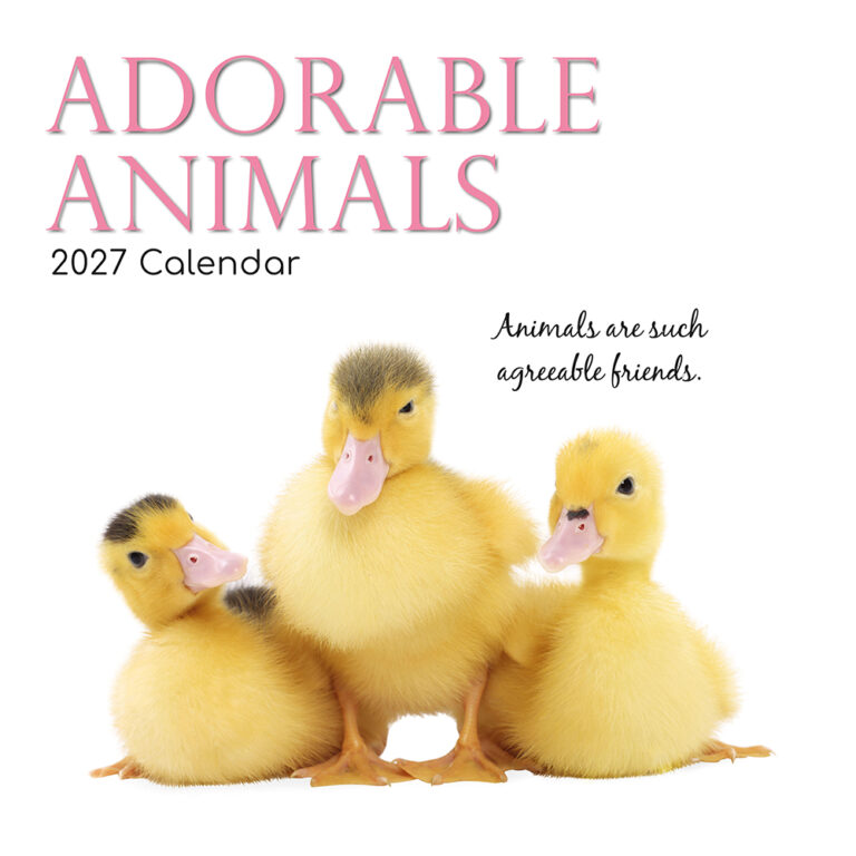 2027 Square Wall Calendar - Adorable Animals | Wholesale Stationery