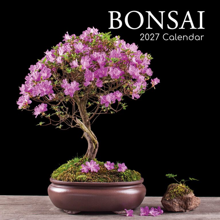 2027 Square Wall Calendar - Bonsai | Wholesale Stationery