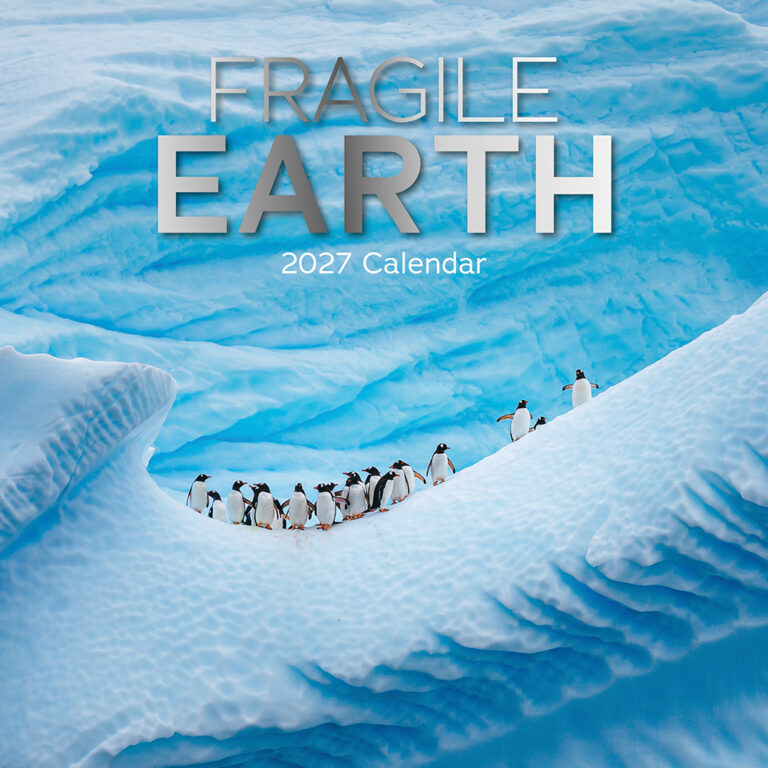 2027 Square Wall Calendar - Fragile Earth | Wholesale Stationery