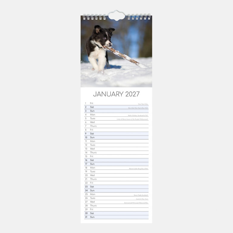 2027 Slimline Calendar - Border Collie | Wholesale Stationery